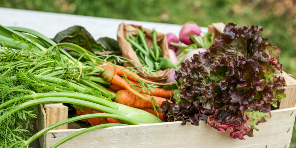 Teaching Kitchen Farm-to-Table Tour - York University Events Calendar